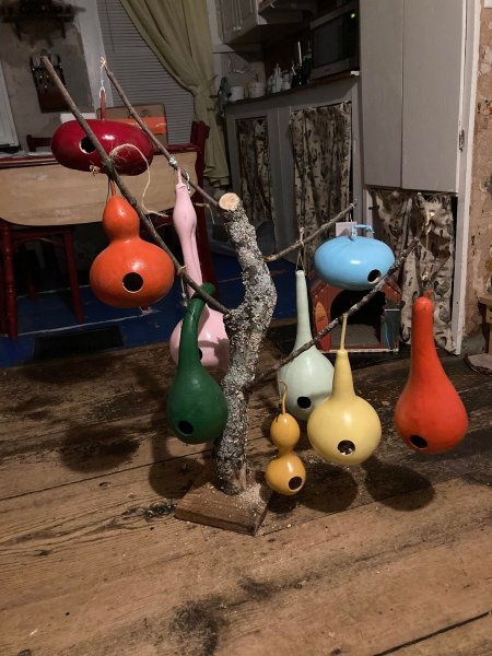 Wren Gourd House - Oxford Winter Farmers' Market