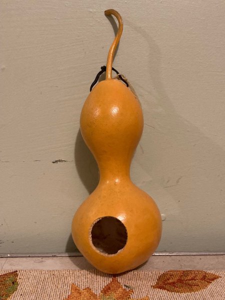 Wren Gourd House - Oxford Winter Farmers' Market