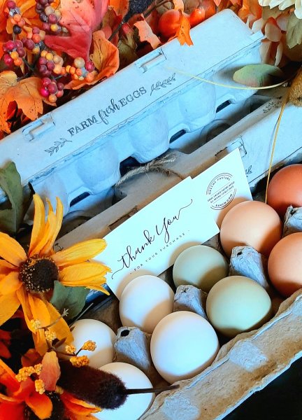farm fresh eggs - Oxford Farmers' Market